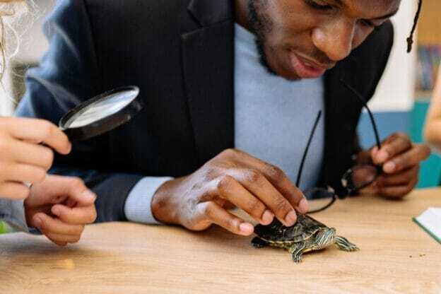 Use of Animals in Science Education | Science Safety